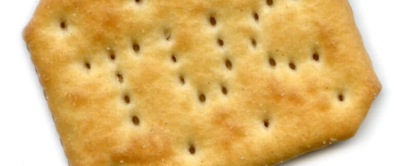 Are Tuc Crackers Vegan? Here's All You Need To Know