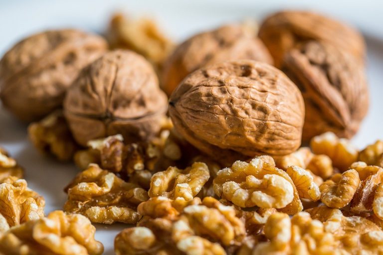 Fat Sources On A Vegan Diet - Complete Guide