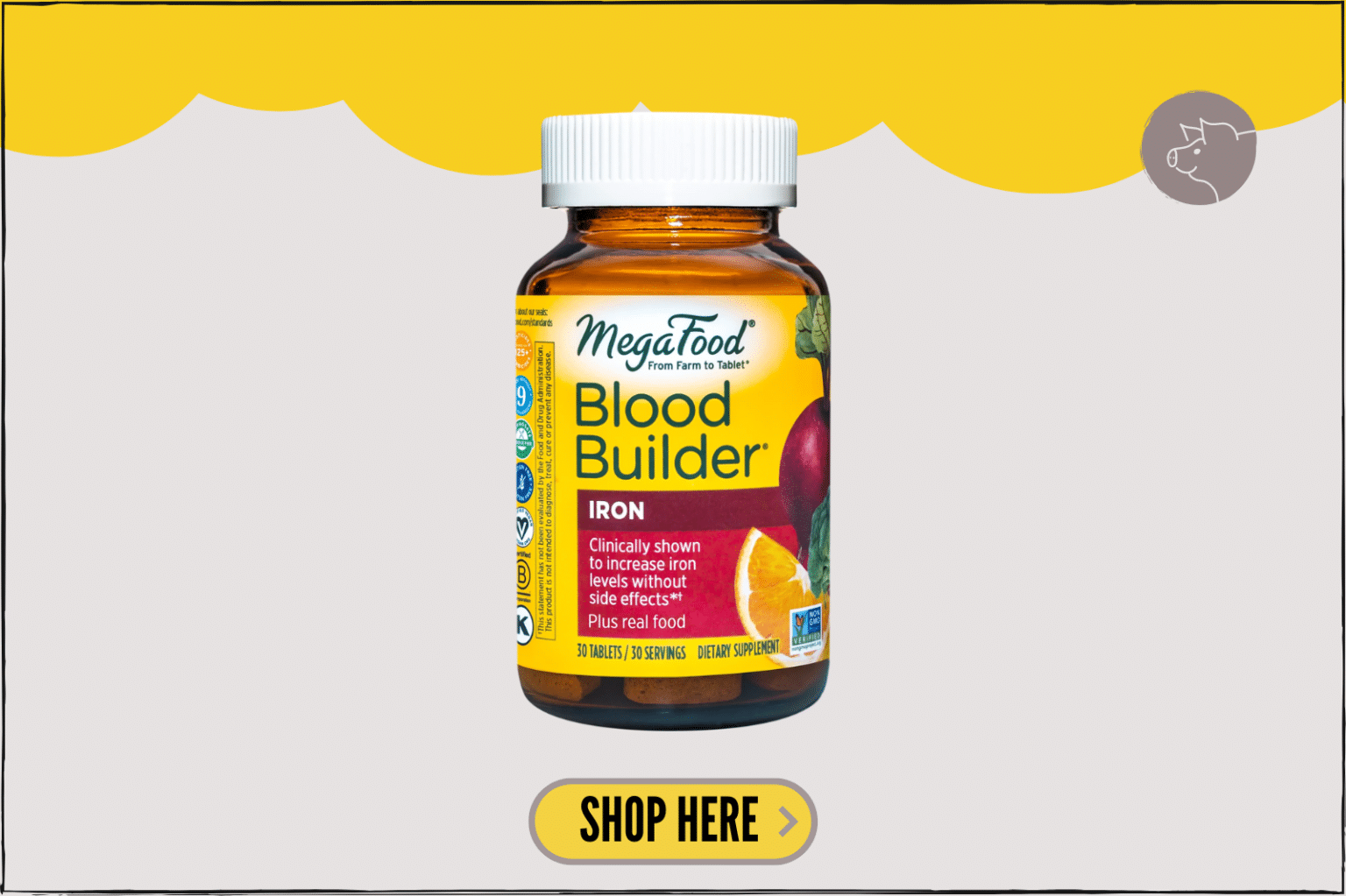 Mega Food Blood Builder Review: Worth Your Money?