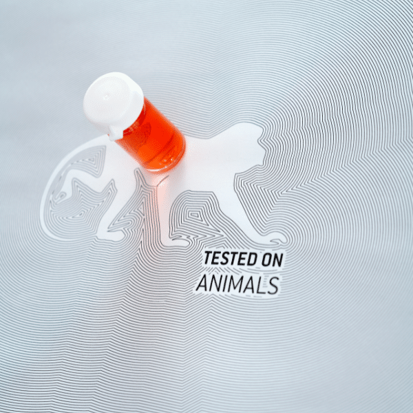 The 5 Best Charities Against Animal Testing In 2025